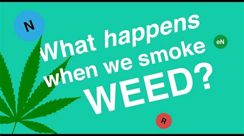 What Happens When We Smoke Weed Youtube