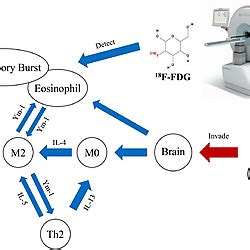 Summary Data Map Of This Study