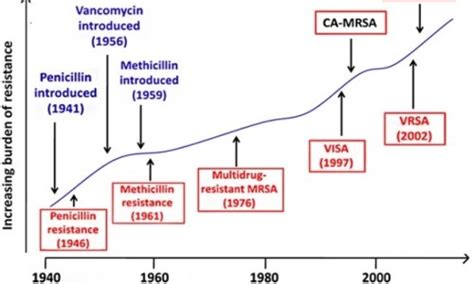Cell Wall Inhibitors 세포벽 억제제 중 베타 락탐 항생제 네이버 블로그