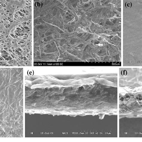 Sem Micrograph Of The Composite Membranes A Surface Ptfe Polymer B