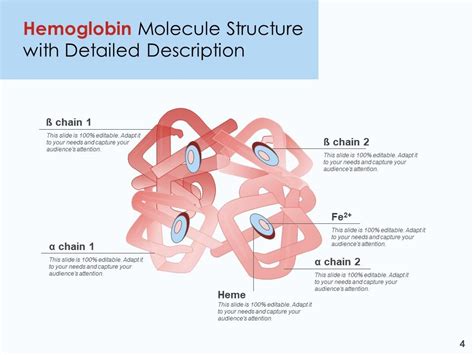 Hemoglobin Representing Description Structure Measuring Laboratory Presentation Graphics