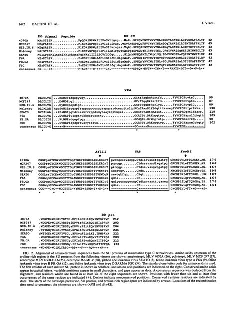 Receptor Choice Determinants In The Envelope Glycoproteins Of Amphotropic Xenotropic And