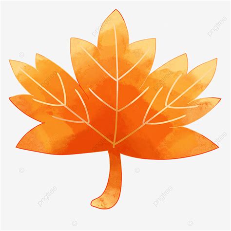 단풍 일러스트 잎사귀 메이플 리프 클립 아트 주황색 단풍잎 Png 일러스트 및 Psd 이미지 무료 다운로드 Pngtree