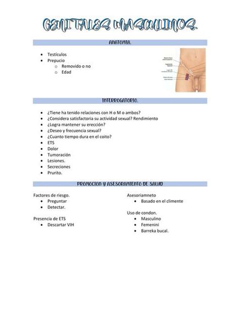 EXPLORACION DEL APARATO GENITAL MASCULINO Zoe Mandujano Potrero UDocz
