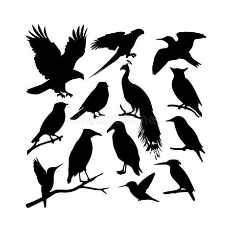 Eagle Parrot Peacock Owl Silhouette Vector Stock Vector Illustration