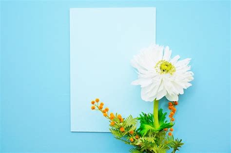 흰색 말미잘이있는 파란색 카드 제목 프레임과 파란색 배경에 둥근 노란색 꽃이있는 Cootamundra 와트 가지 0명에 대한 스톡 사진 및 기타 이미지 Istock