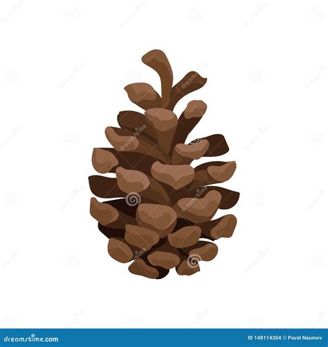 Brown Open Pine Cone On A White Background Vector Illustration Stock