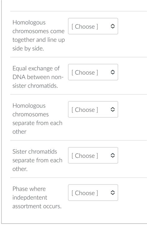 Solved Homologous Chromosomes Come Together And Line Up Side