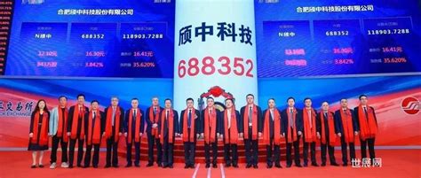 显示驱动芯片封测龙头颀中科技在上交所科创板挂牌上市 世展网