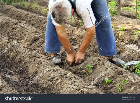 Manual Labor Definition Ster At Bryan Hanes Blog