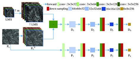 The Dual Branch Multiscale Detail Extraction Network Download Scientific Diagram