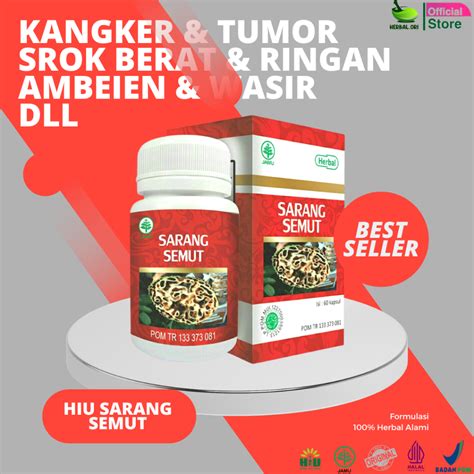 Jual Kapsul Sarang Semut Hiu Asli Membantu Mengatasi Berbagai Jenis Kanker Dan Tumor Shopee