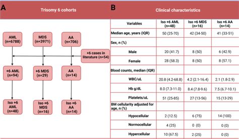 Context Dependent Role Of Trisomy 6 In Myelodysplastic Neoplasms And Acute Myeloid Leukemia A