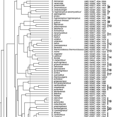 Dendrogram Derived From An Unweighted Pair Group Method With Arithmetic