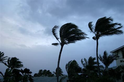 What To Do During A Cyclone Racq