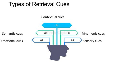 Examples Of Retrieval Cues For Better Memory Recall