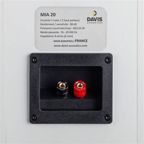 Enceintes bibliothèque DAVIS ACOUSTICS MIA haut parleurs voies Tweeter mm