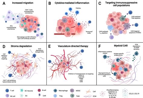 Strategies Incorporated Into Cellular Therapies To Remodel The Tme A Download Scientific