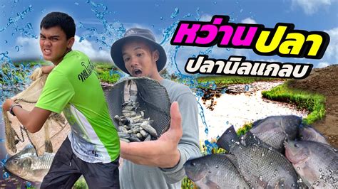 เหมือนจะเซียน X เซียนดริ้ง หว่านปลานิลแกลบ Youtube