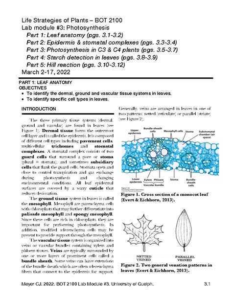 2100 Lab Module 3 W22 INTRODUCTION The Three Primary Tissue
