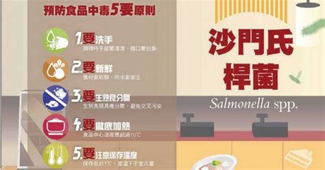 避免沙門氏桿菌中毒 食藥署提醒美乃滋沙拉醬屬高風險食材 生活 CTWANT