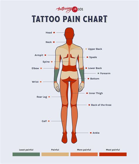 Tattoo Pain Chart Tattooing 101
