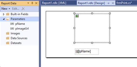 Can Possible Dynamically Add Picturebox Image Into Rdlc Report C Windows Form Microsoft Qanda