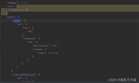 Gin框架搭建swagger接口文档gin Swager Docjson 500 Csdn博客