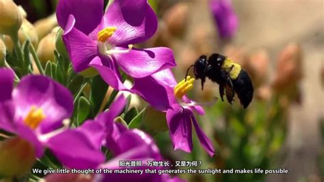 清晰度 清晰度对比 对比度 文秘苑图库