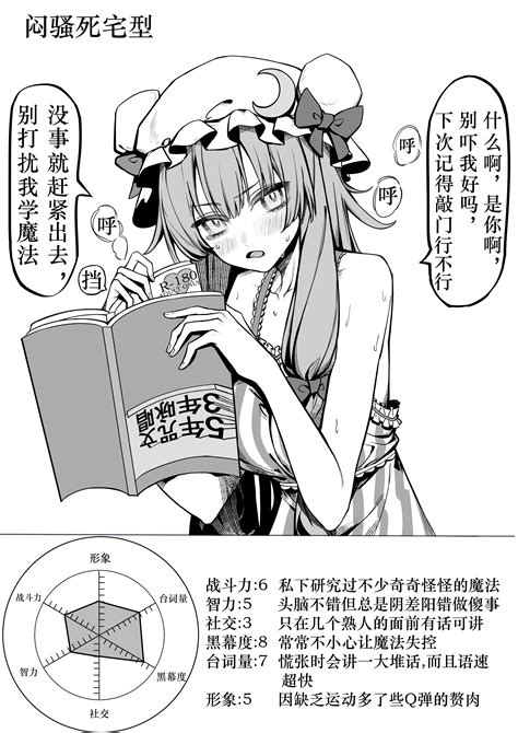 Yangsan Patchouli Knowledge Touhou Absurdres Chinese Commentary Commentary