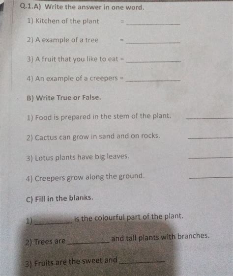 Q1A Write The Answer In One Word 1 Kitchen Of The Plant 2 A