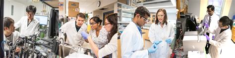 Doctoral Program Institute For Biology Engineering And Medicine