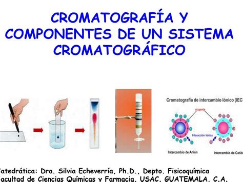 Qué es la teoría de la cromatografía
