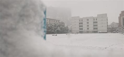 Date：2024 10 02 成章实验中学操场雪景