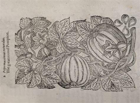 Great Round Pompiongerard2246013r Circulating Now From The Nlm