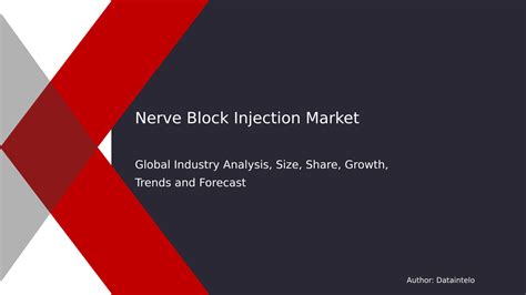 Nerve Block Injection Market Report Global Forecast From 2025 To 2033