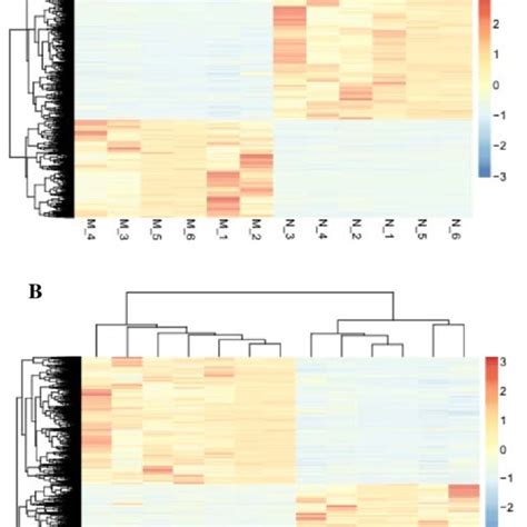 Hierarchical Cluster Analysis For The Genes Differentially Expressed