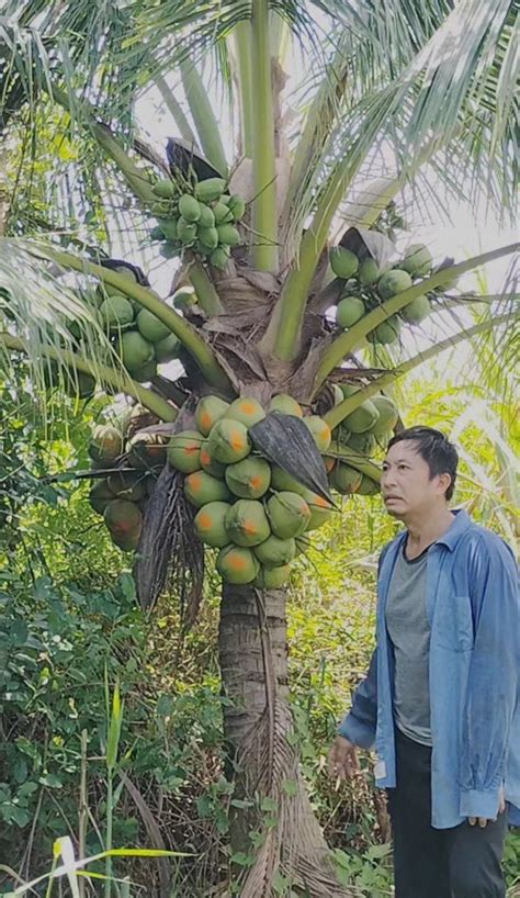 หญ้าแฝกและสวนไผ่วิชัย Added A New หญ้าแฝกและสวนไผ่วิชัย