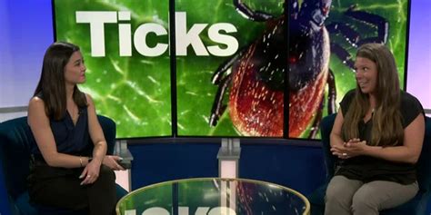 Mid Michigan Matters Tick Safety