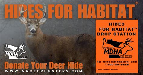 How Hunters Can Support Conservation With The Hides For Habitat Program