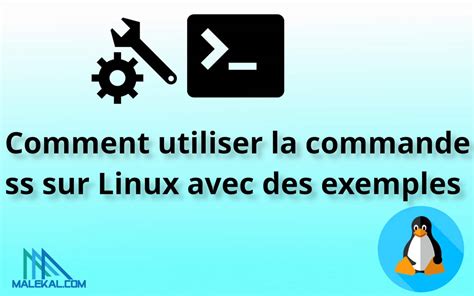Comment Utiliser La Commande Ss Sur Linux Avec Des Exemples
