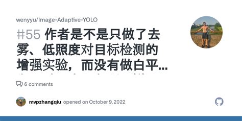 作者是不是只做了去雾、低照度对目标检测的增强实验，而没有做白平衡、对比度、色调和锐化的实验？ · Issue 55 · Wenyyu