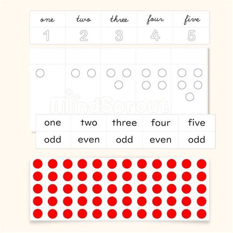 Cards And Counters Montessori Math Material Odd And Even Counting Numbers Coloring Activity