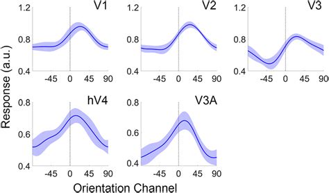 Reconstructions Of Stimulus Orientation During The Orientation Mapping