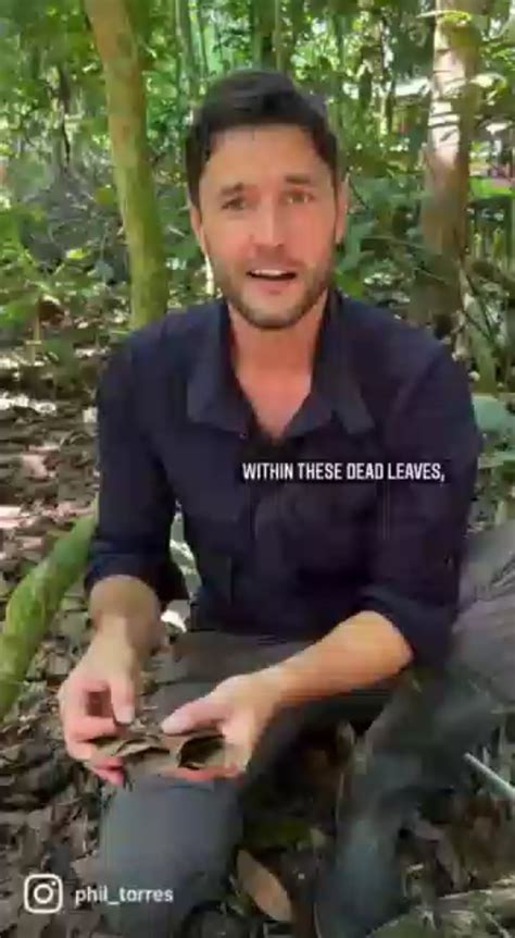 Unreal Dead Leaf Rmademesmile