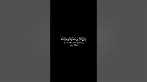 محمود خليل الحصري يا أيها الذين آمنوا أطيعوا الله وأطيعوا الرسول