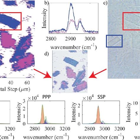 Schematic Illustration Of The Neural Network Employed To Extract Download Scientific Diagram
