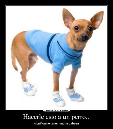 Imágenes y Carteles de VESTIDO Pag Desmotivaciones