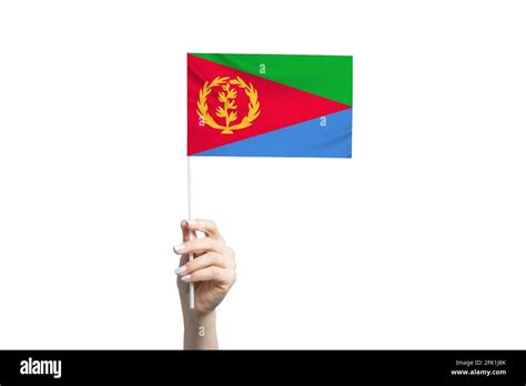 Beautiful Female Hand Holding Eritrea Flag Isolated On White Background Stock Photo Alamy