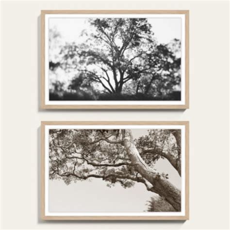 Tree Limbs Art Black White And Sepia Toned Giclee Prints With Natural Wood Frame